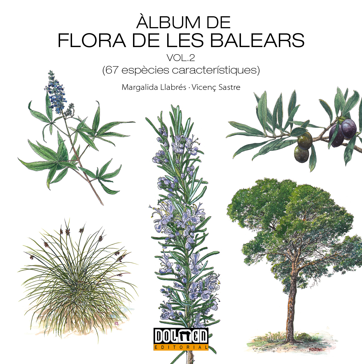 Àlbum de Flora de les Balears Volum 2 - Dolmen Editorial